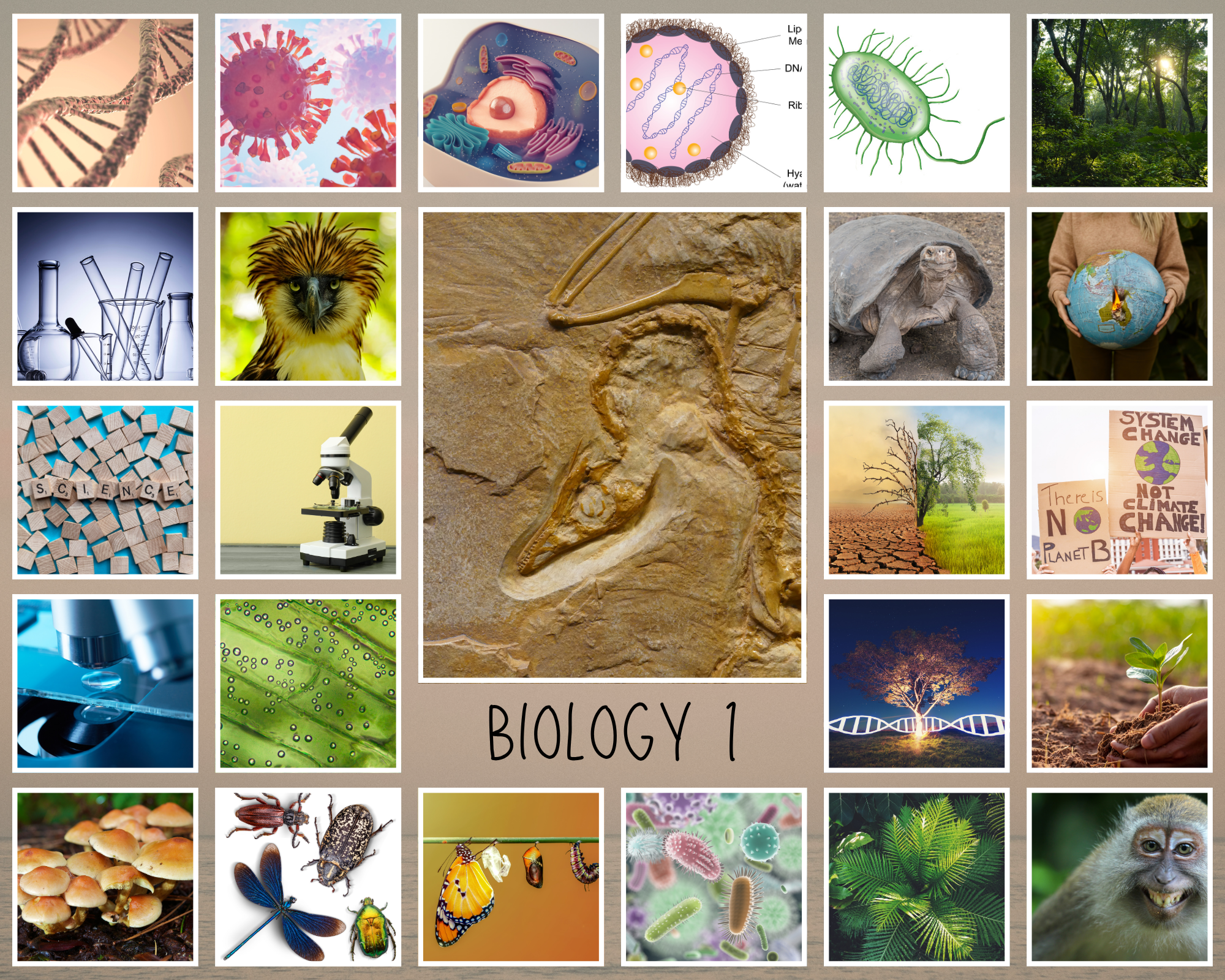 Search results | PSHS-MC KHub